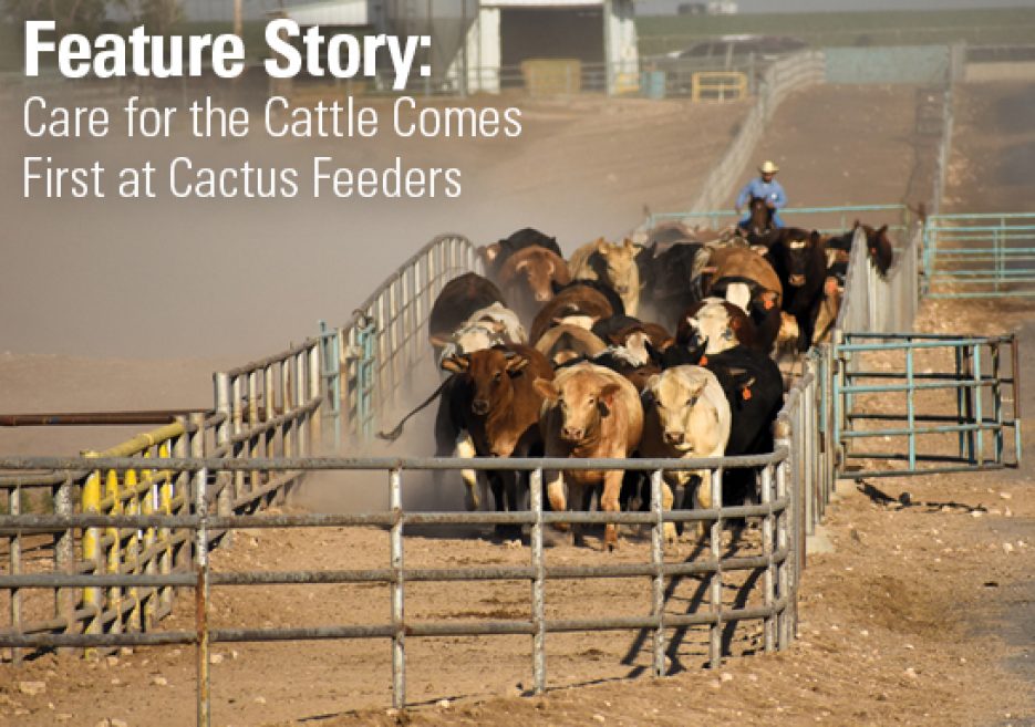 Texas and Southwestern Cattle Raisers | The Cattleman Magazine