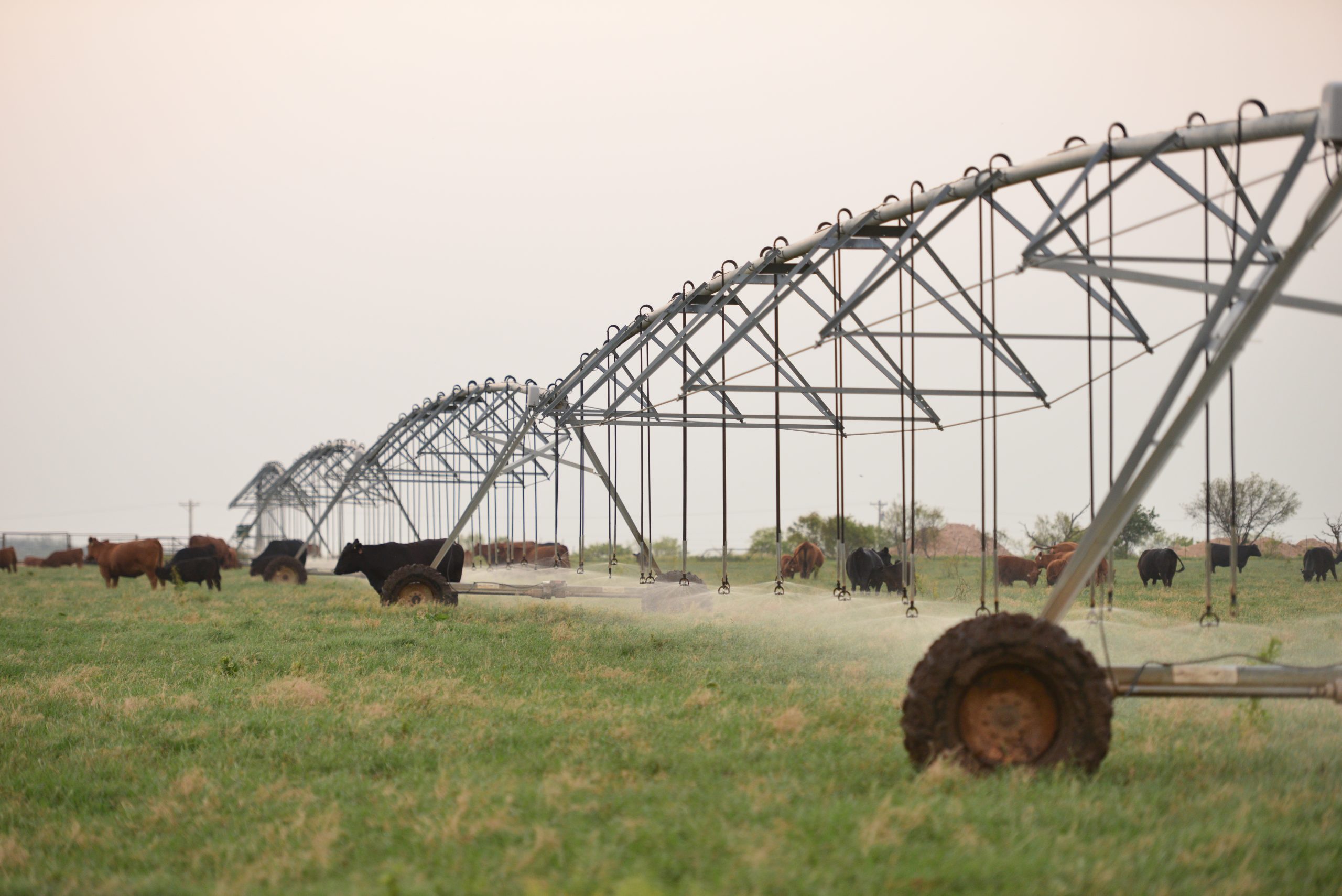 Texas & Southwestern Cattle Raisers Association | Away we go