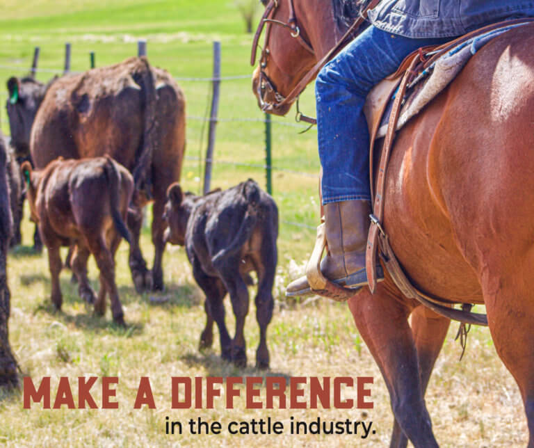 Sign up now for a TSCRA policy committee - Texas and Southwestern ...