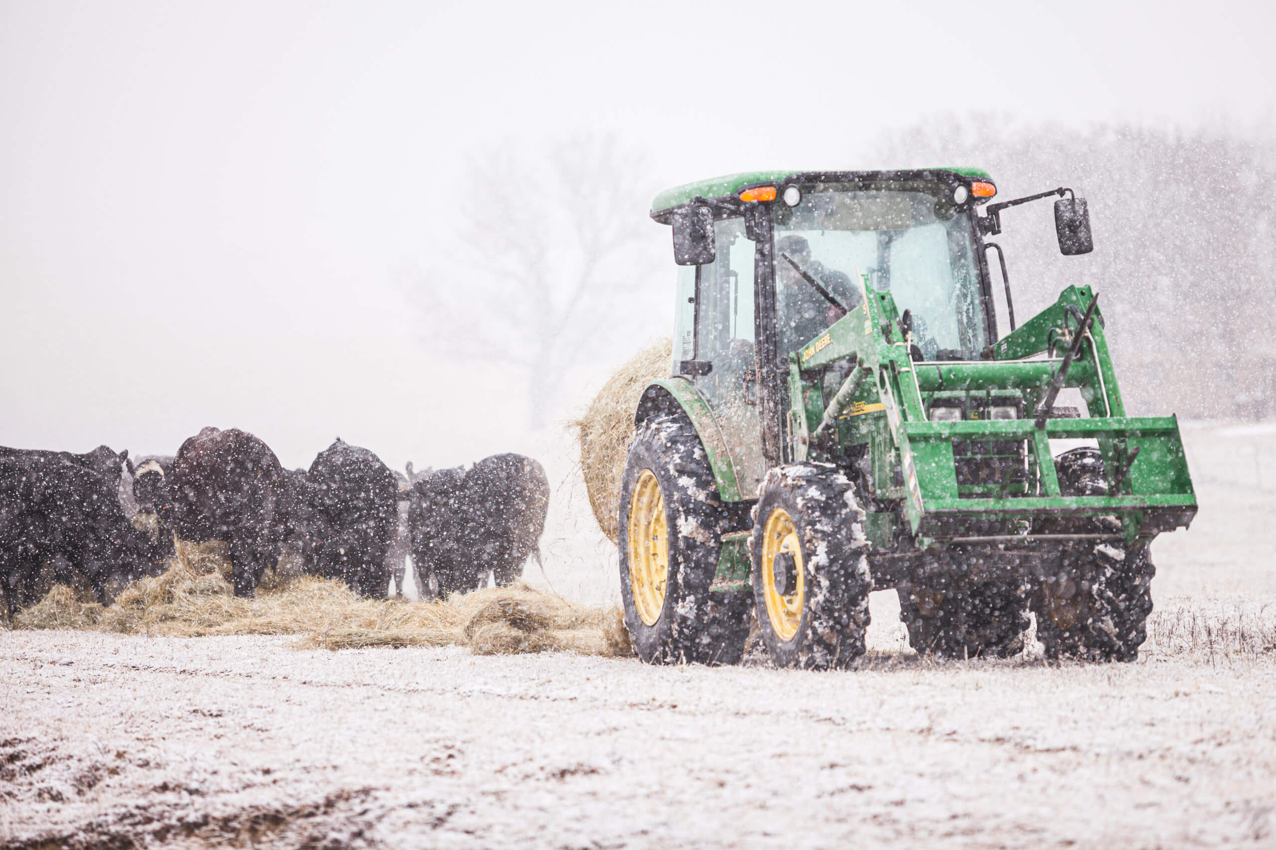 Winter storm preparation on the ranch - Texas and Southwestern Cattle ...