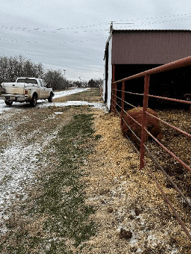 Cattle Raisers PAC releases November 2024 general election voting guide ...