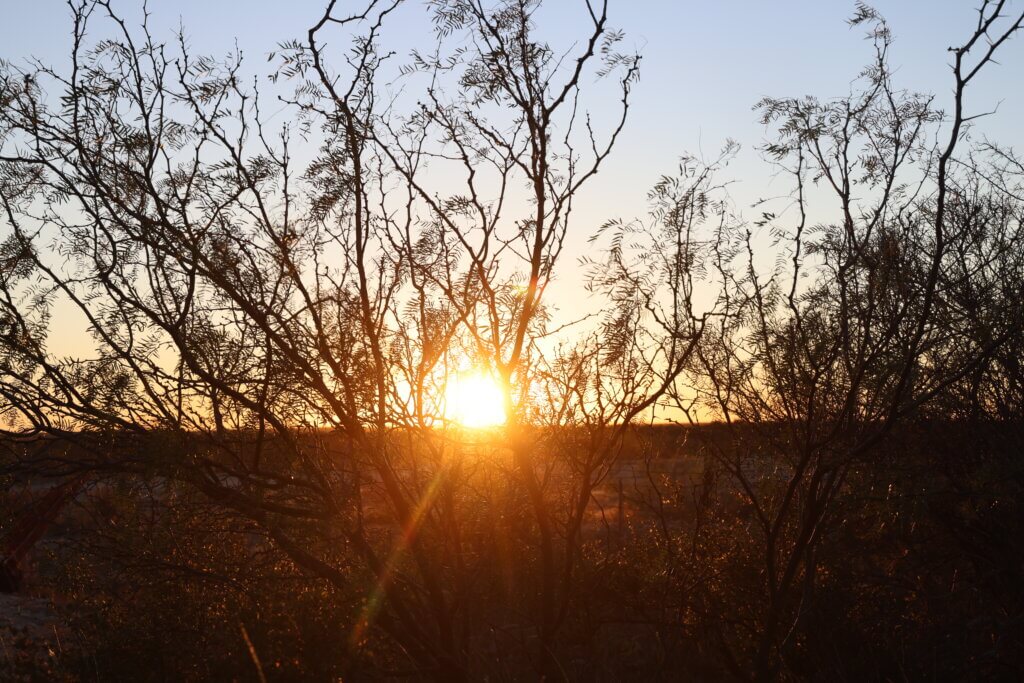 Border Life - Texas and Southwestern Cattle Raisers Association
