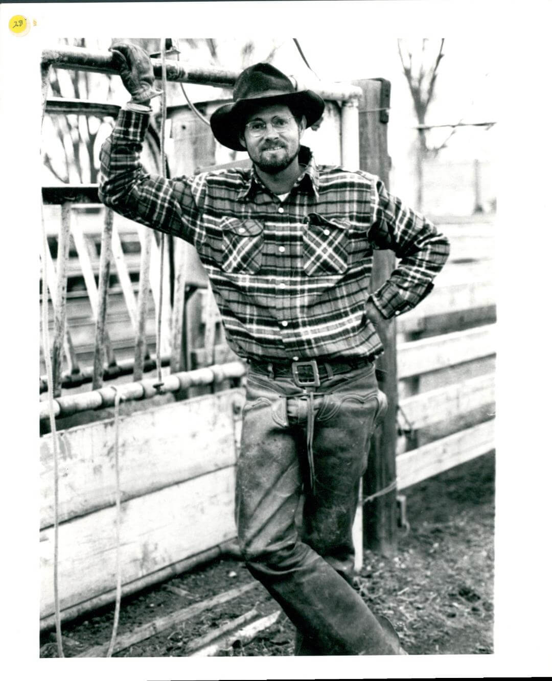 From Harvard Man to Ranch Hand - Texas and Southwestern Cattle Raisers ...