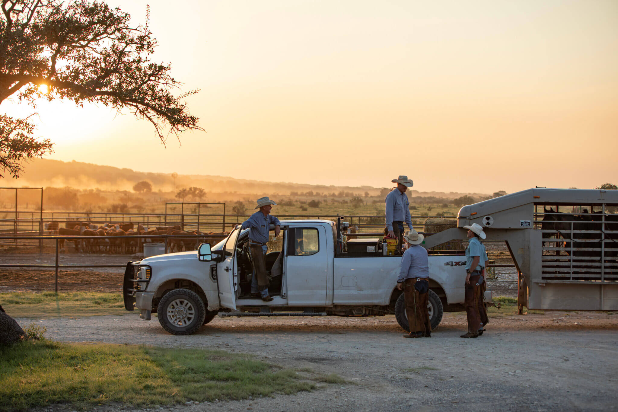 Sponsorships & Advertisement - Texas and Southwestern Cattle Raisers ...