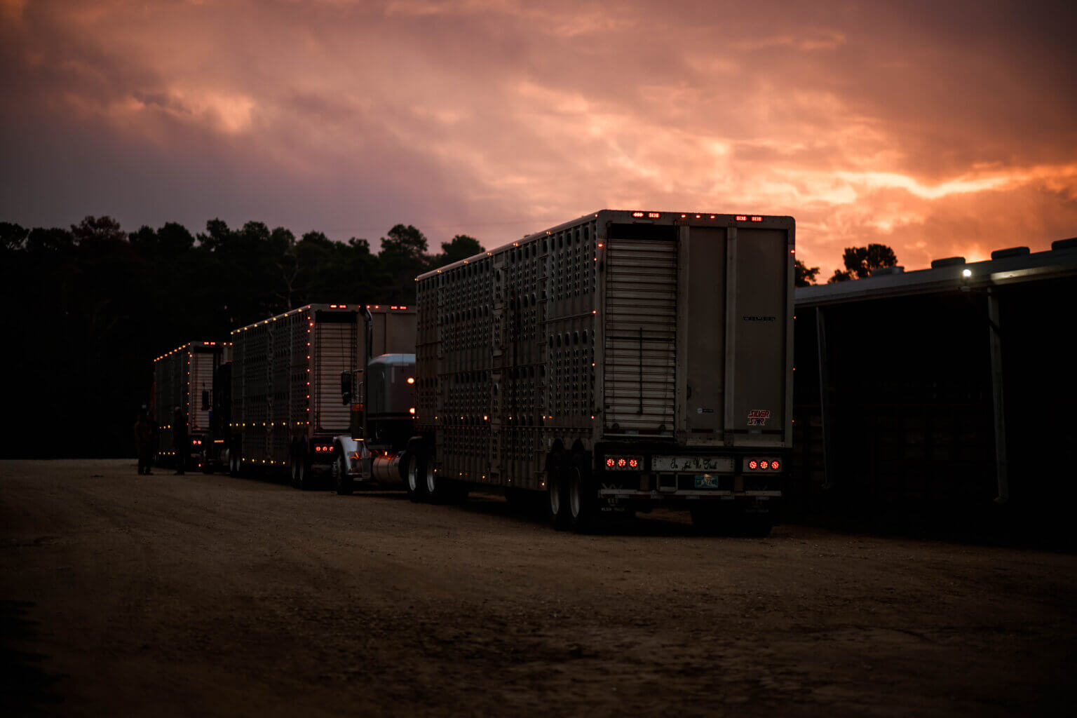 TSCRA Talk Episode 67 – Cattle transportation best practices - Texas ...